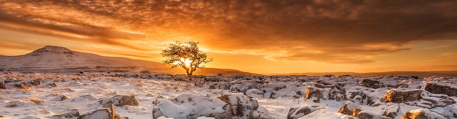 Contacto — Nikon Perú